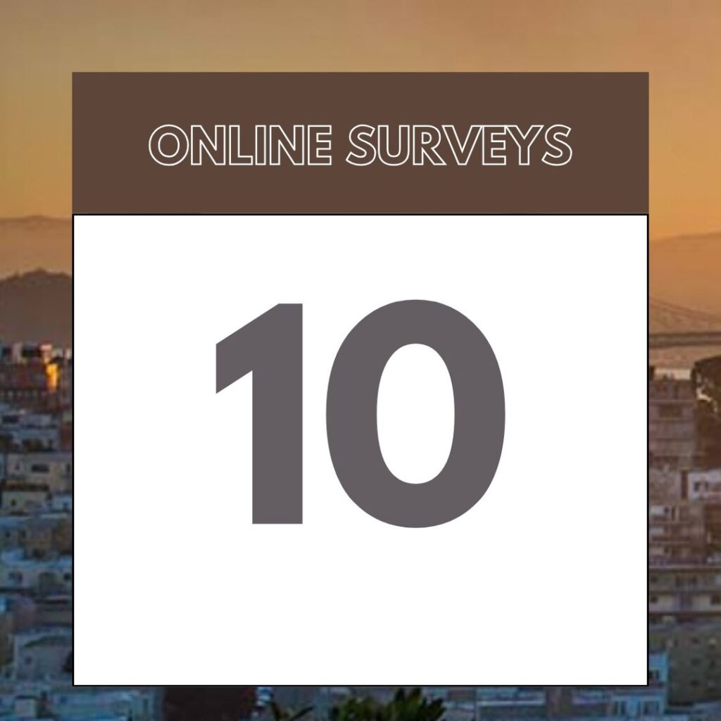 Online Surveys – Maven Research