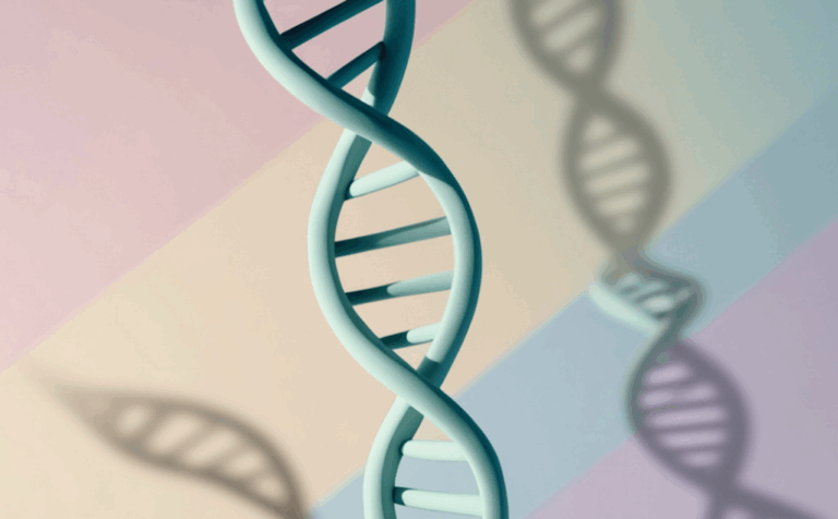 Transgenic Animal Models